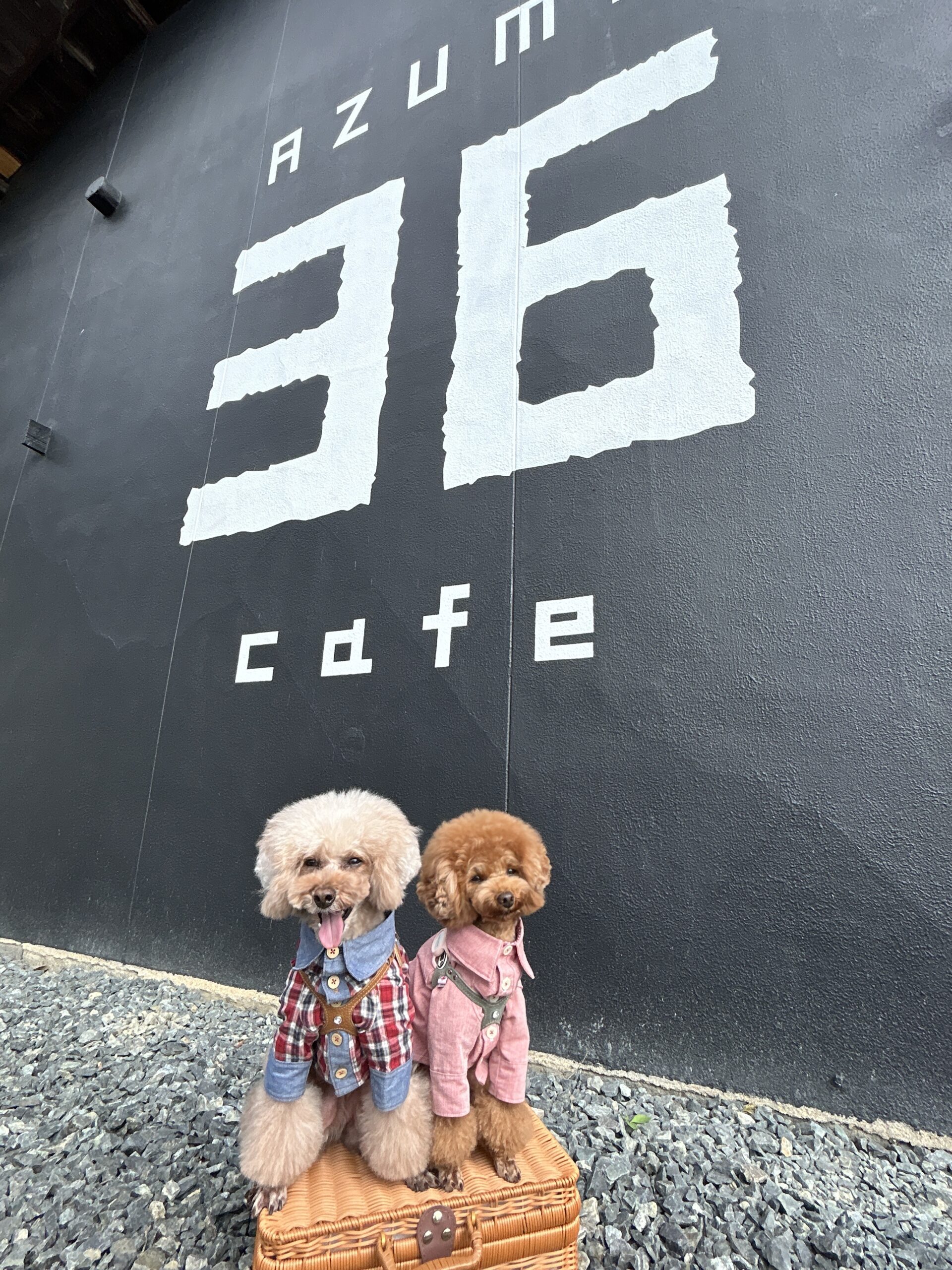 【福島AZUMA36cafe】ワンコテラス席OK！古民家改装レストランカフェ - みちのくゴーゴードッグ